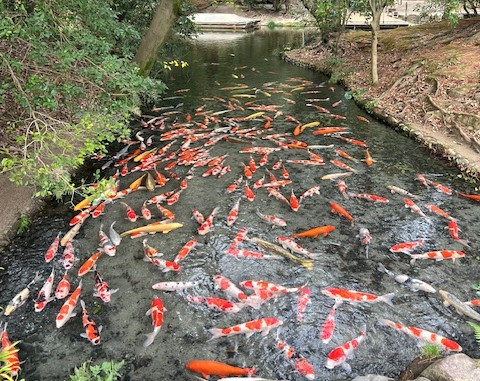 1 x 1 = >10? Combine Talent Pass with Long-term Incentives to Maximize ...